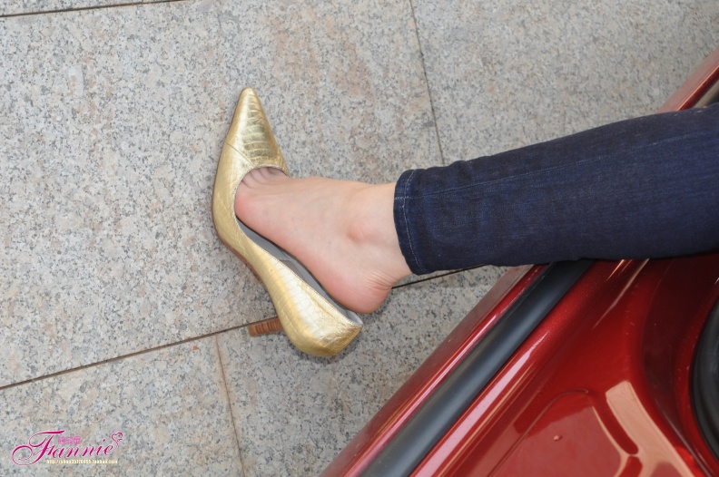 DSC 3631 | （福妹）主题相册